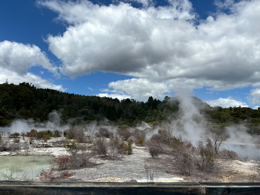 Tarawera Ultra-Trail New Zealand by UTMB - ルクタスアドベンチャーズ